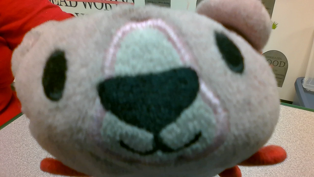 i want pics of your silly goobers | Fandom