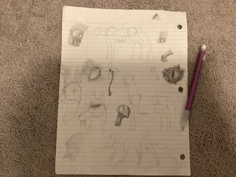 Sketches I Made In Class Fandom