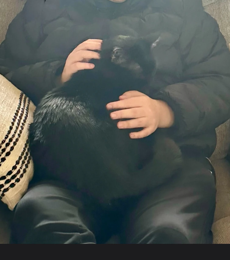 EEPY CAT!!! EEPY CAT!! | Fandom