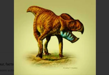 Discuss Everything About Dinopedia | Fandom