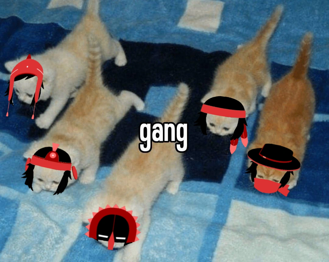 GANG. | Fandom