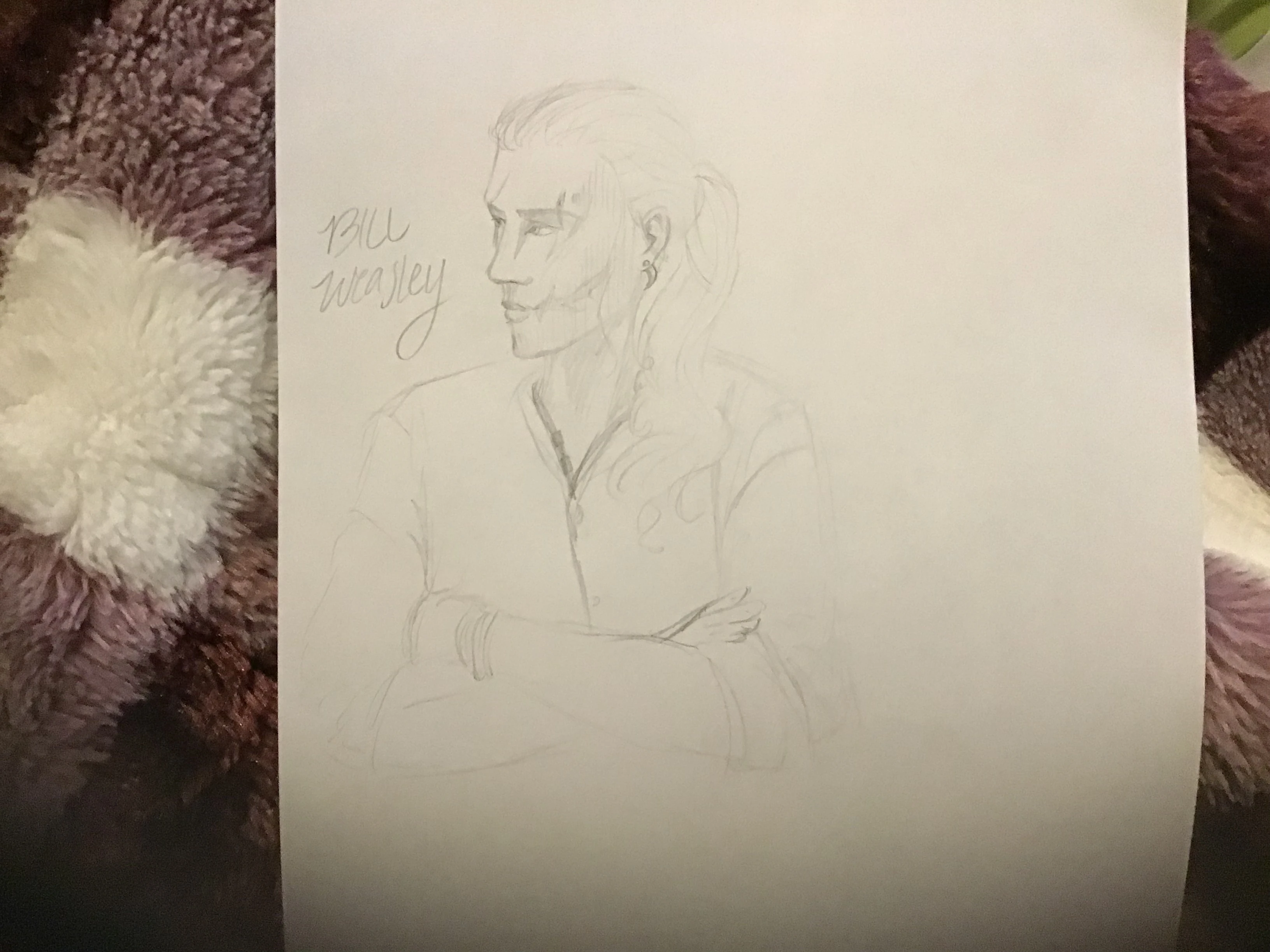Bill Weasley drawing | Fandom