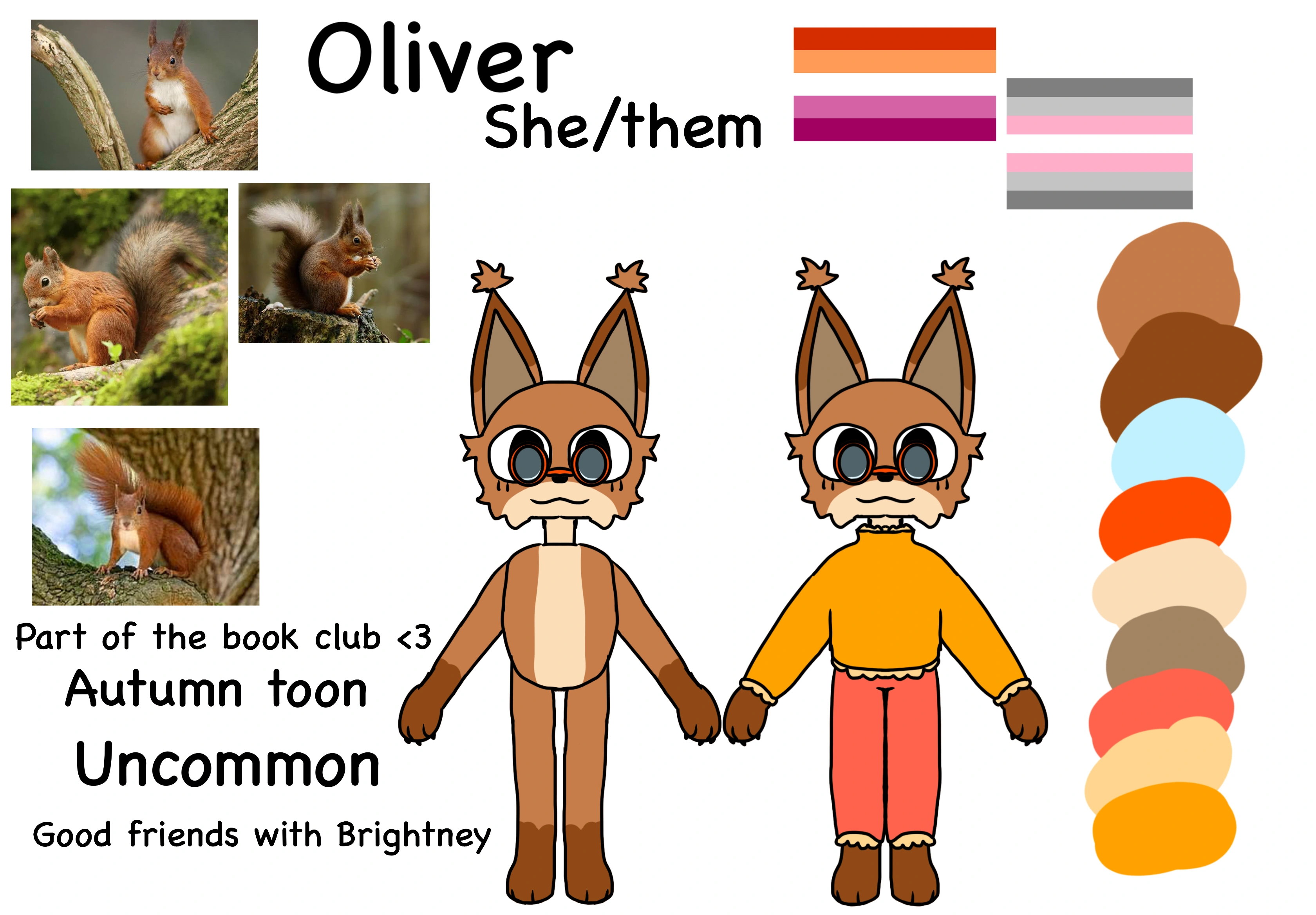 Oliver the red squirrel | Fandom