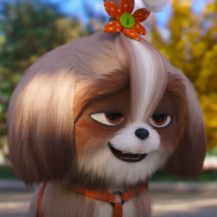 Discuss Everything About The Secret Life of Pets Wiki | Fandom