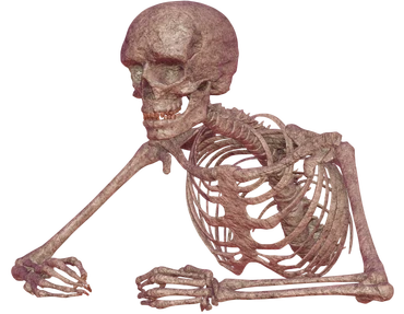 Favorite Halloween 2025 Part I Skins A | Fandom