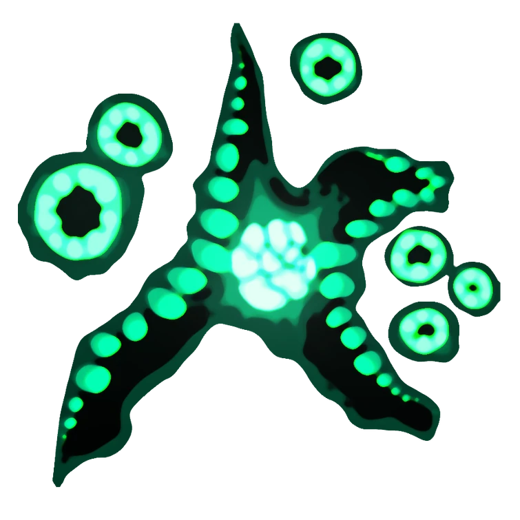 My Section E Ideas | Fandom