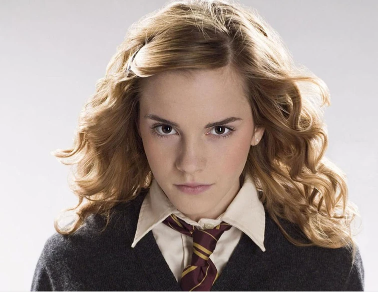 Hermione Granger también tuvo que ser prota-principal de Harry Potter ...