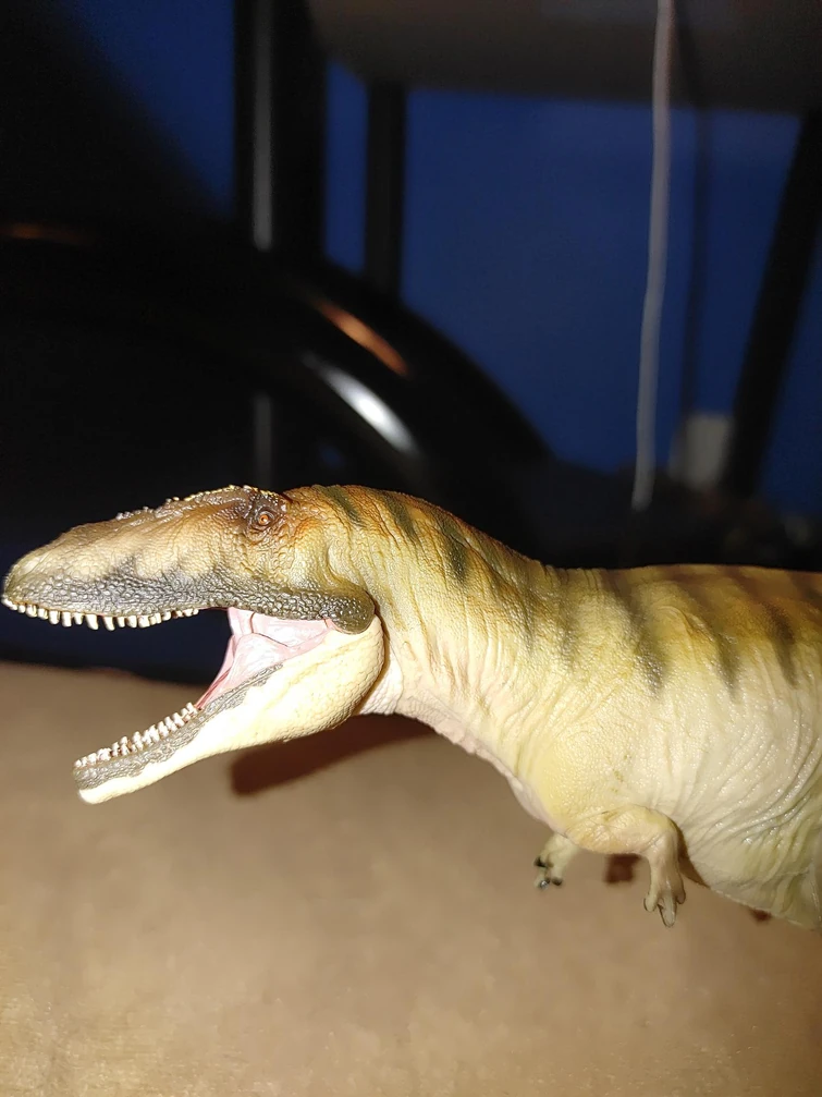 PNSO Carchar | Fandom