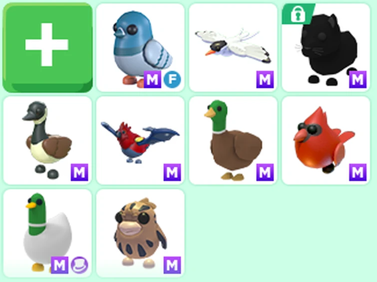 Triple mega post ^^ Mega tawny, rock pigeon and drake finished! | Fandom