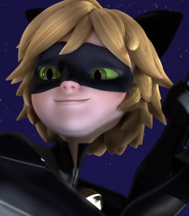 Chat noir smiling to brighten up your day | Fandom