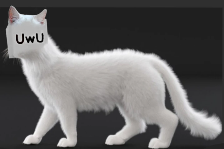 Actual UwU cats documentary | Fandom