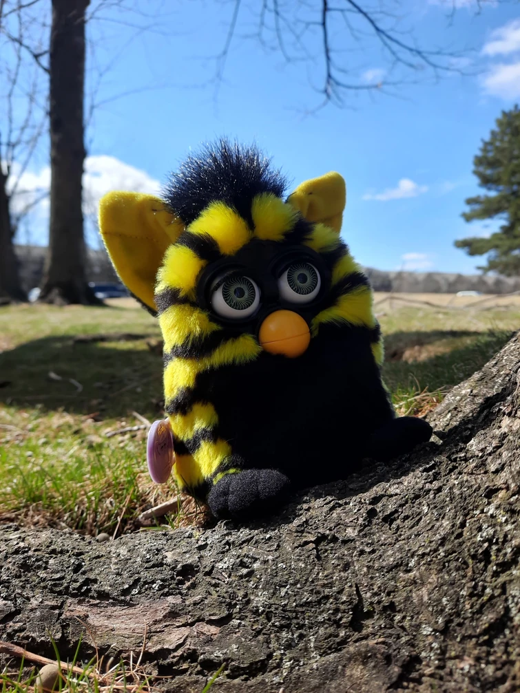 Discuss Everything About Official Furby Wiki | Fandom