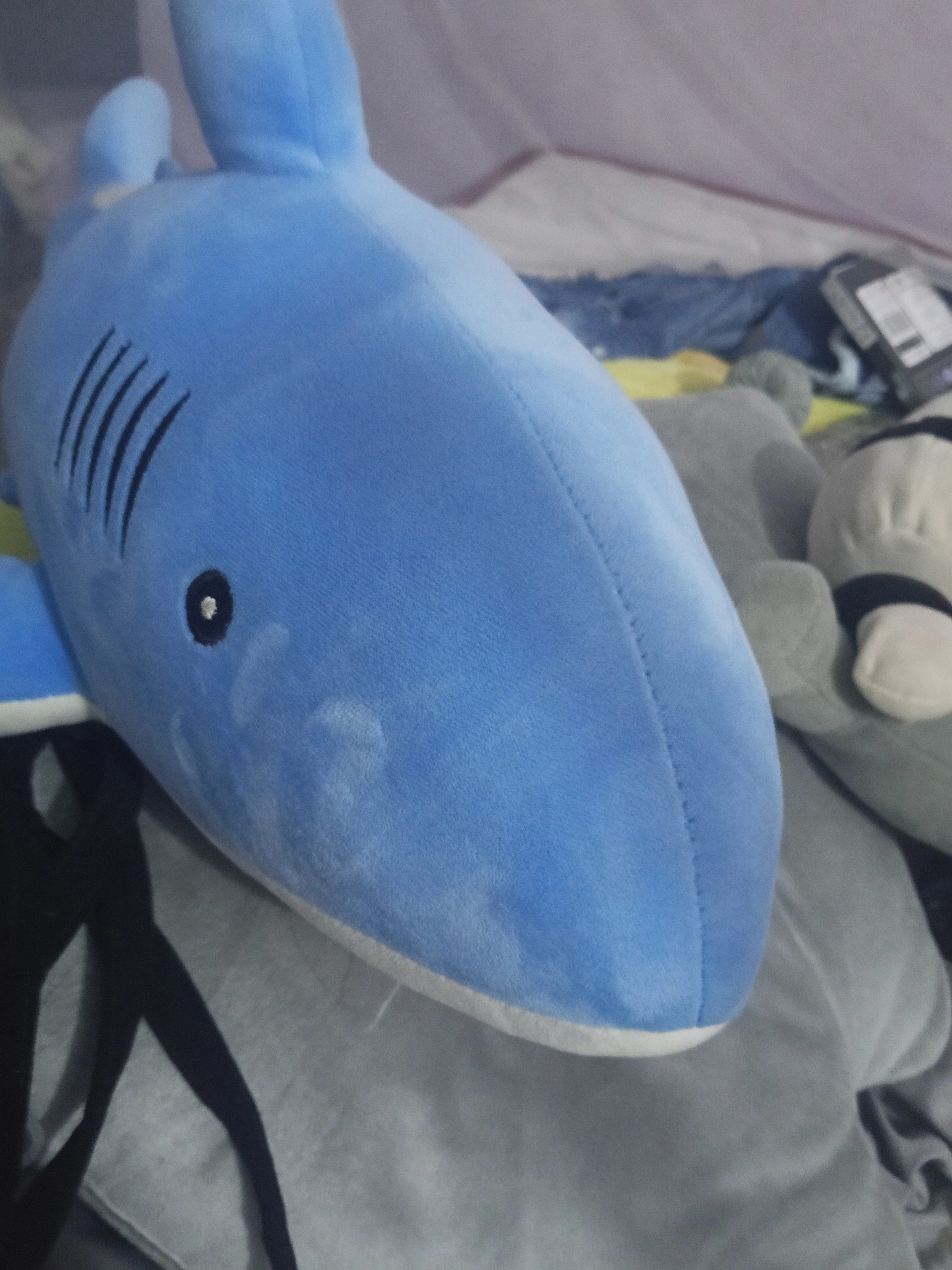 shark doll=FEM!? | Fandom