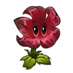 Opinion On Meteor Flower | Fandom