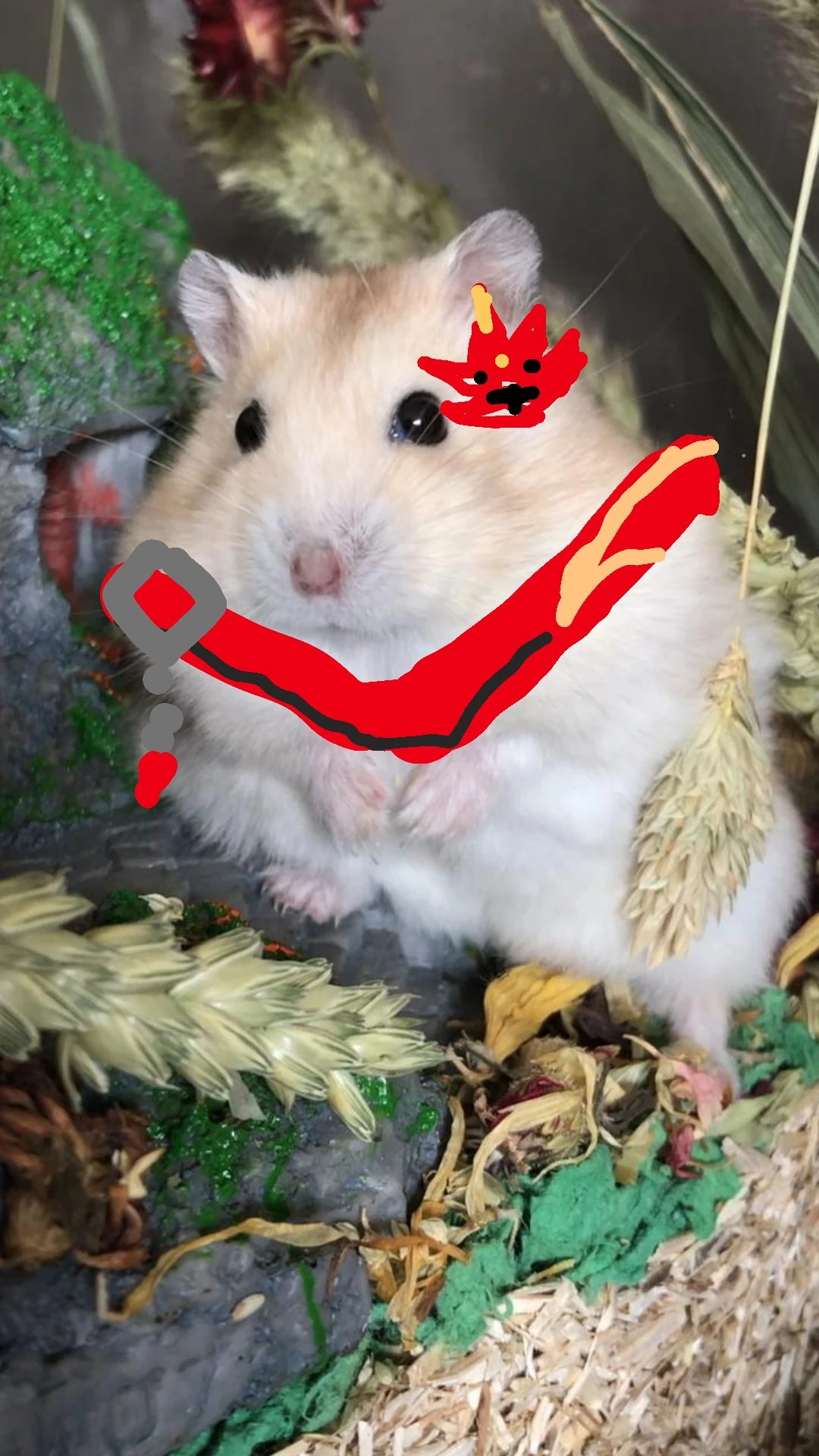 Cheeto rat’s true form | Fandom