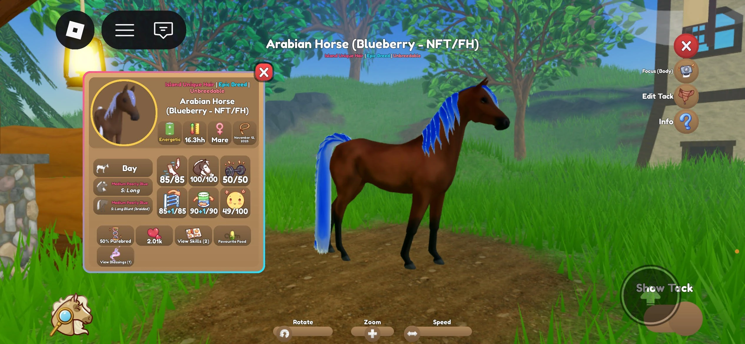 Guys I did it! I got an Arabian IUH! NFT/FH! LF Accs! | Fandom