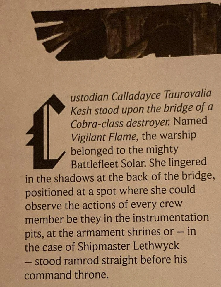 Apparently female custodes are Canon (source: 10th adeptus custodes ...