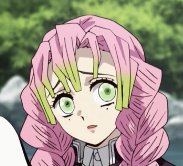 Me casually watching the Hashira Meeting for the 6th time | Fandom