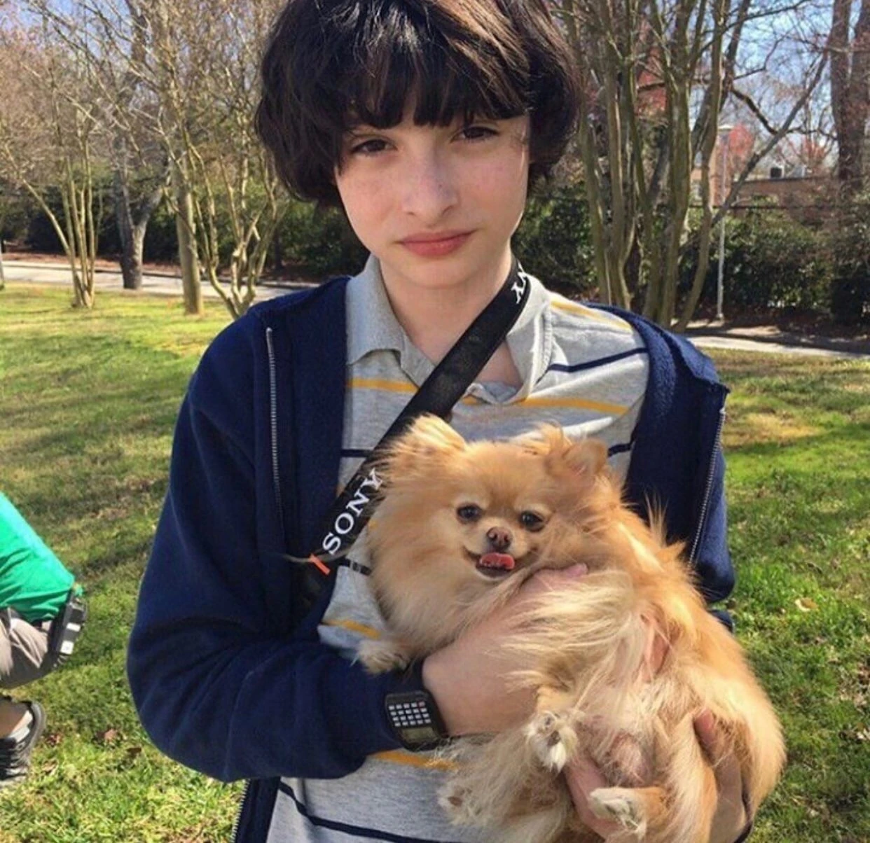 Stranger Dogs | Fandom