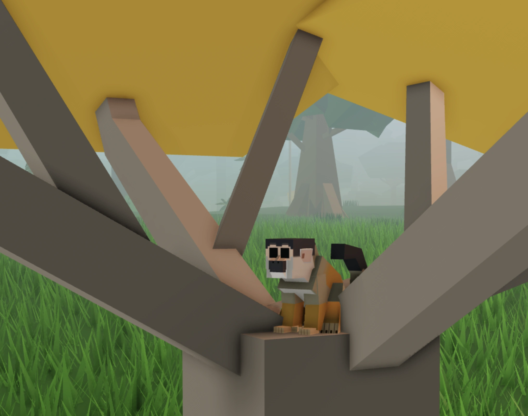 Squiiiiiirreeeelll monkey skins | Fandom