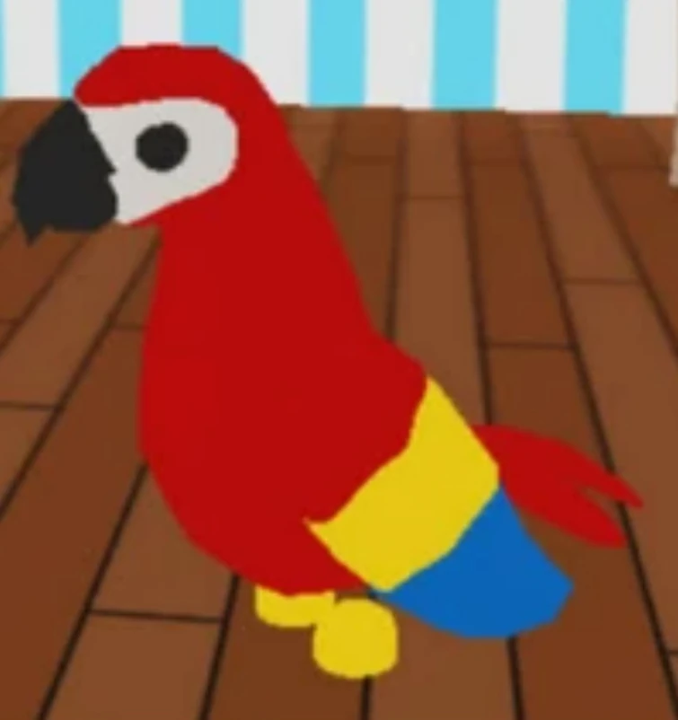 Pet shoutout #2 | Fandom