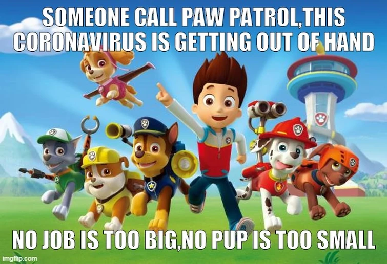 Paw Patrol memes go brrrrr | Fandom
