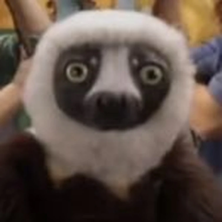 Kinda crazy | Fandom