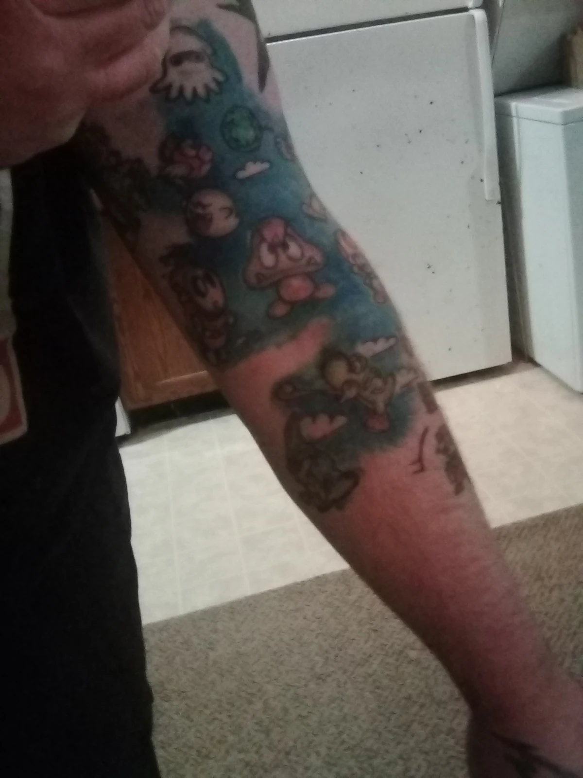 My Mario Sleeve | Fandom