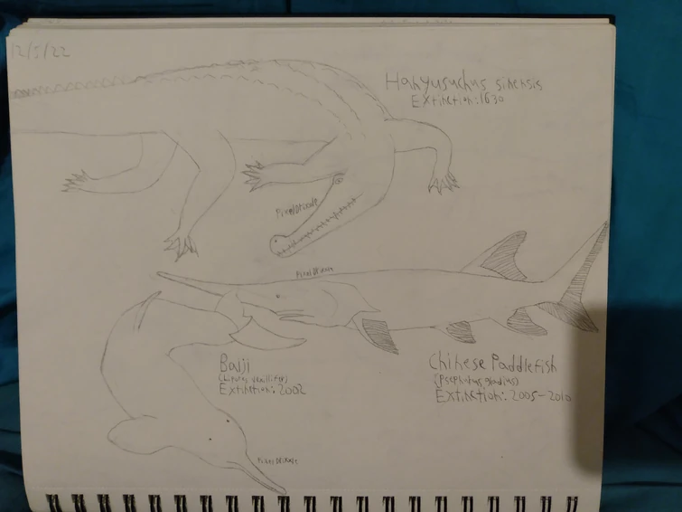 recently extinct chinese megafauna | Fandom