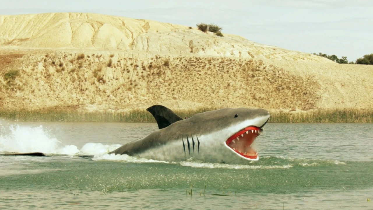 Mythbusters Vs Jaws Aftershow Fandom