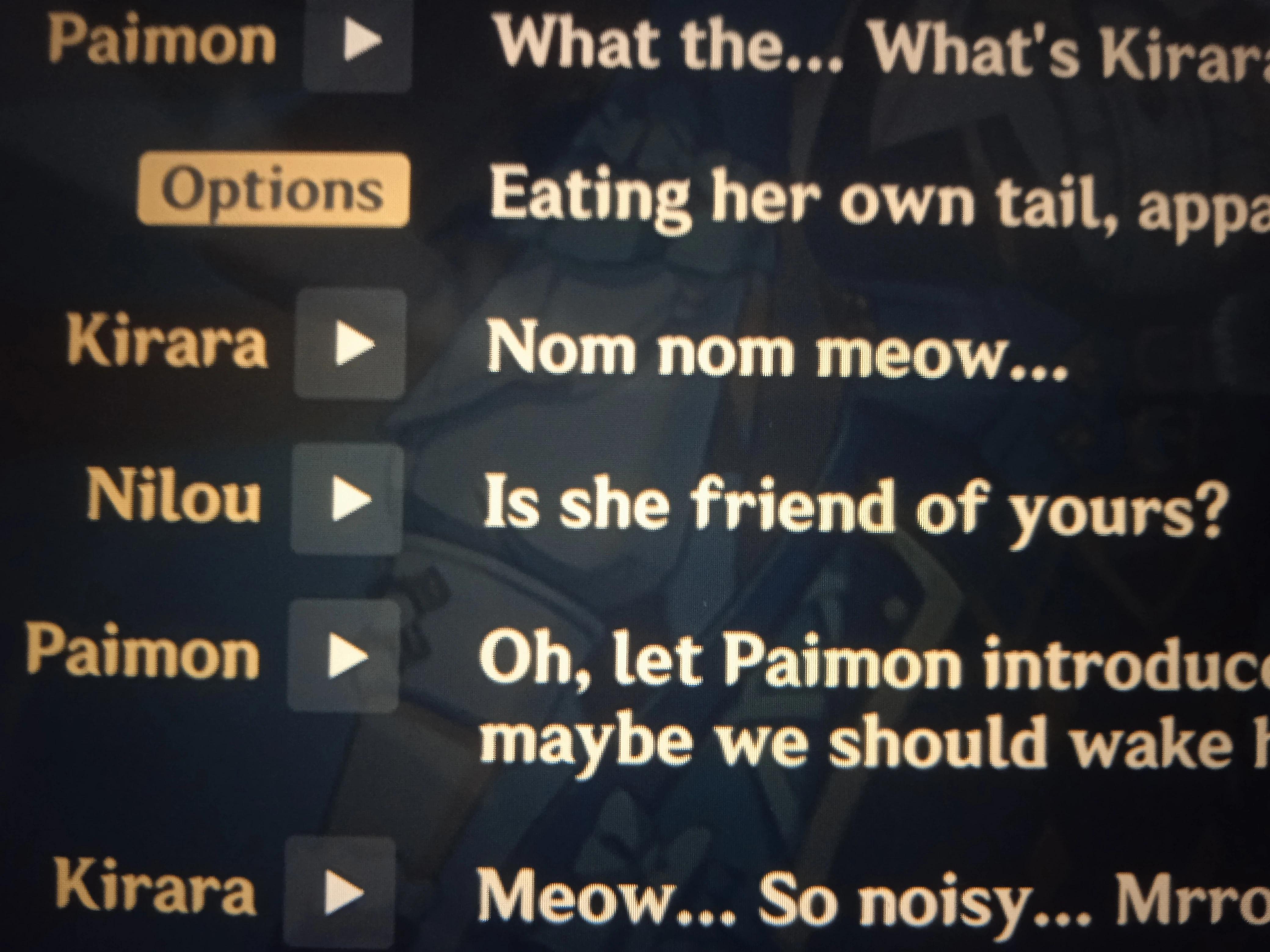 Mihoyo what kind of grammar mistake is THIS | Fandom