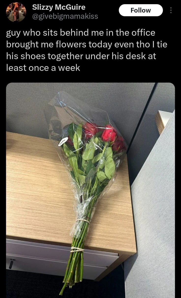 AVPM Draco and Harry | Fandom