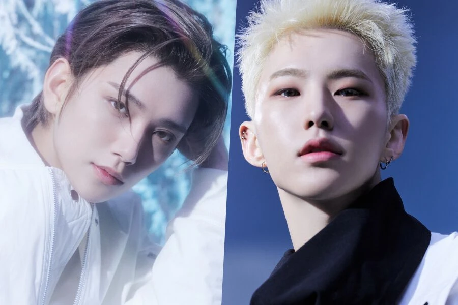 Get Well Soon, Joshua And Hoshi!! (Again) | Fandom