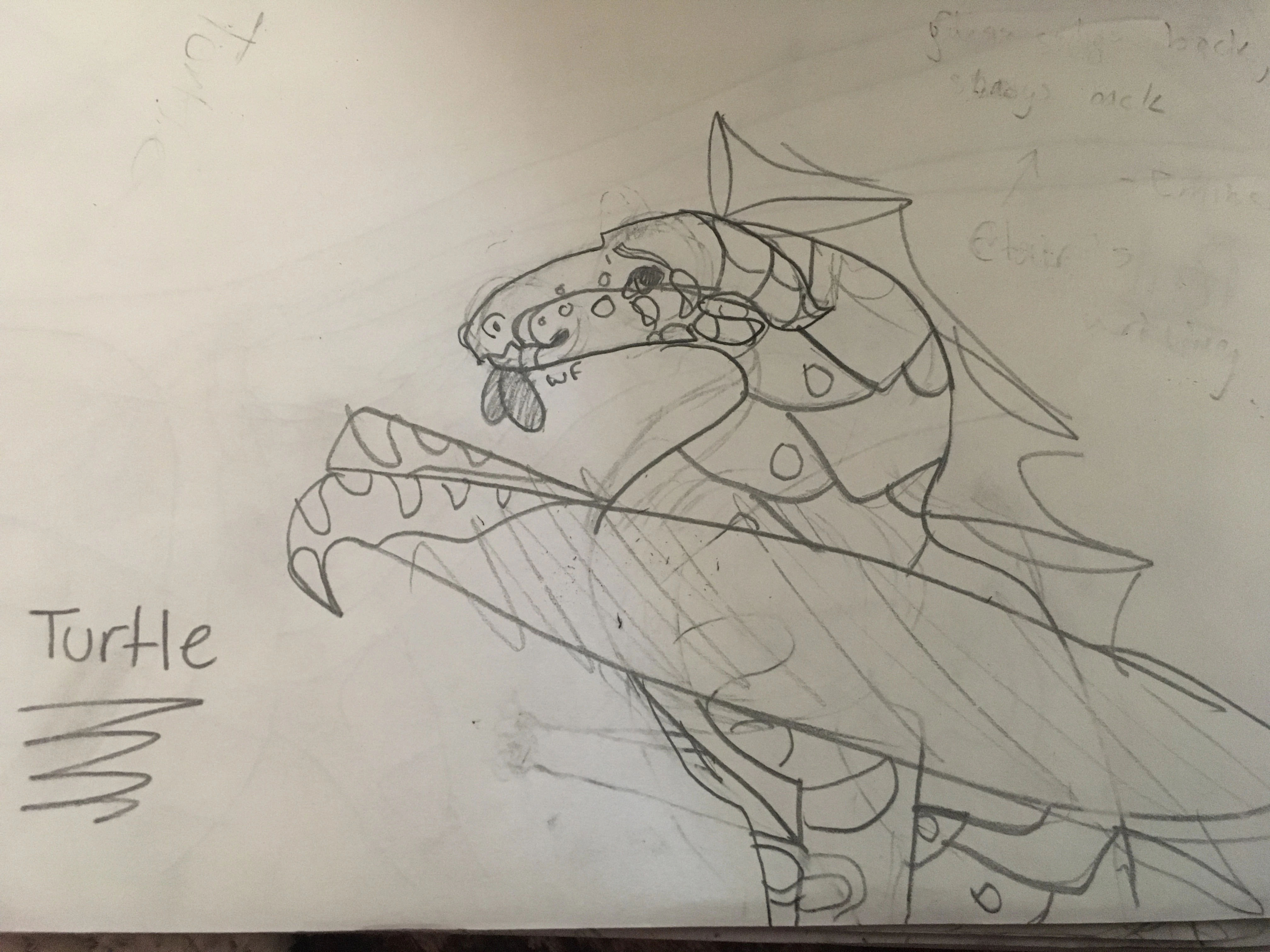 Day 9 ~ Turtle | Fandom