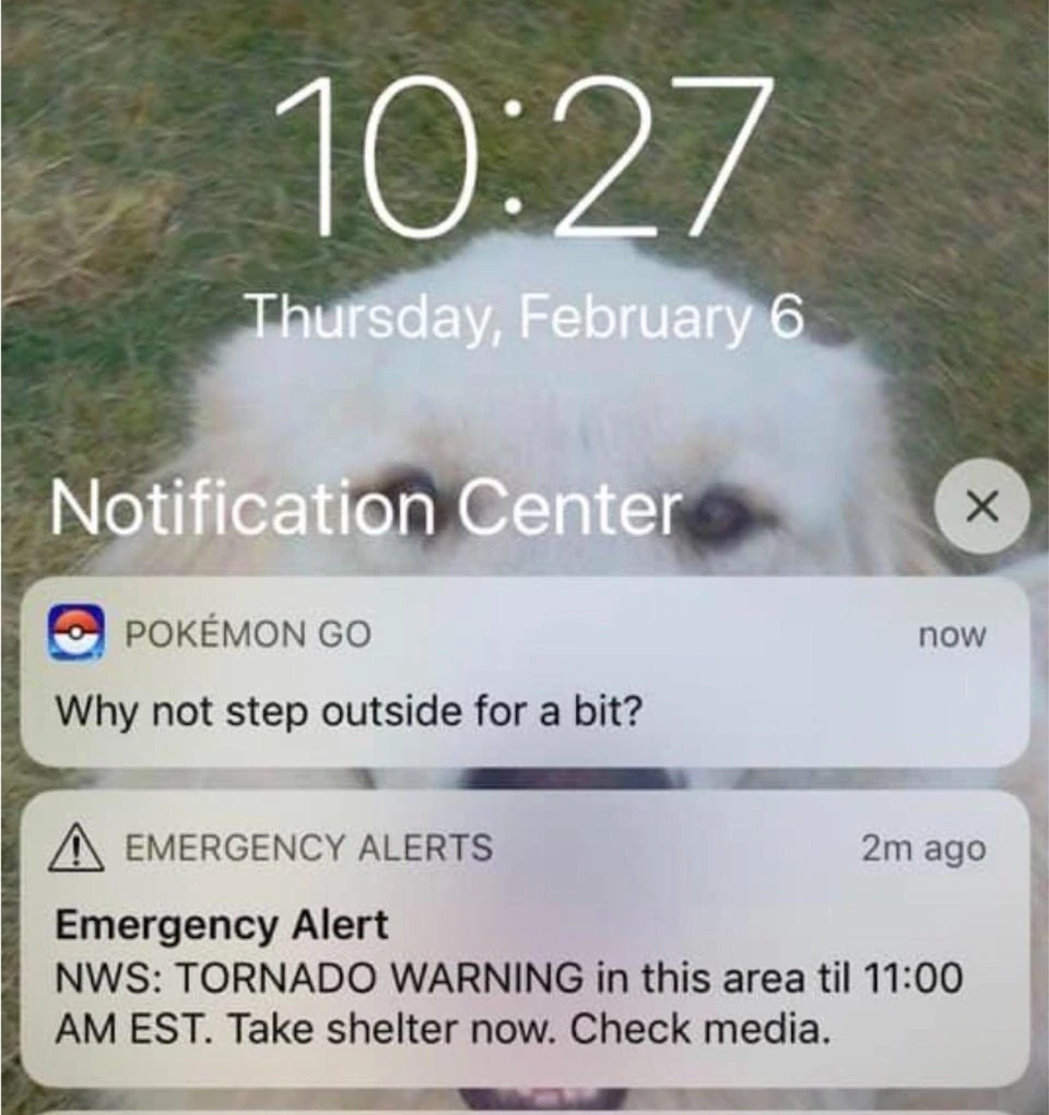 I haven’t made a post all day so take this dumb image | Fandom