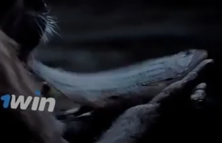 Discuss Everything About NatureRules1 Wiki | Fandom