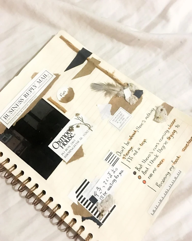 What aesthetic/fandom theme should I choose? | Fandom