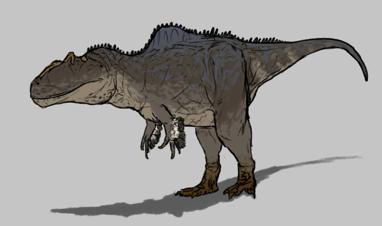 New carcharodontosaurid with a quite tall spine | Fandom