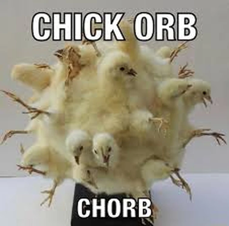 i love chciken | Fandom