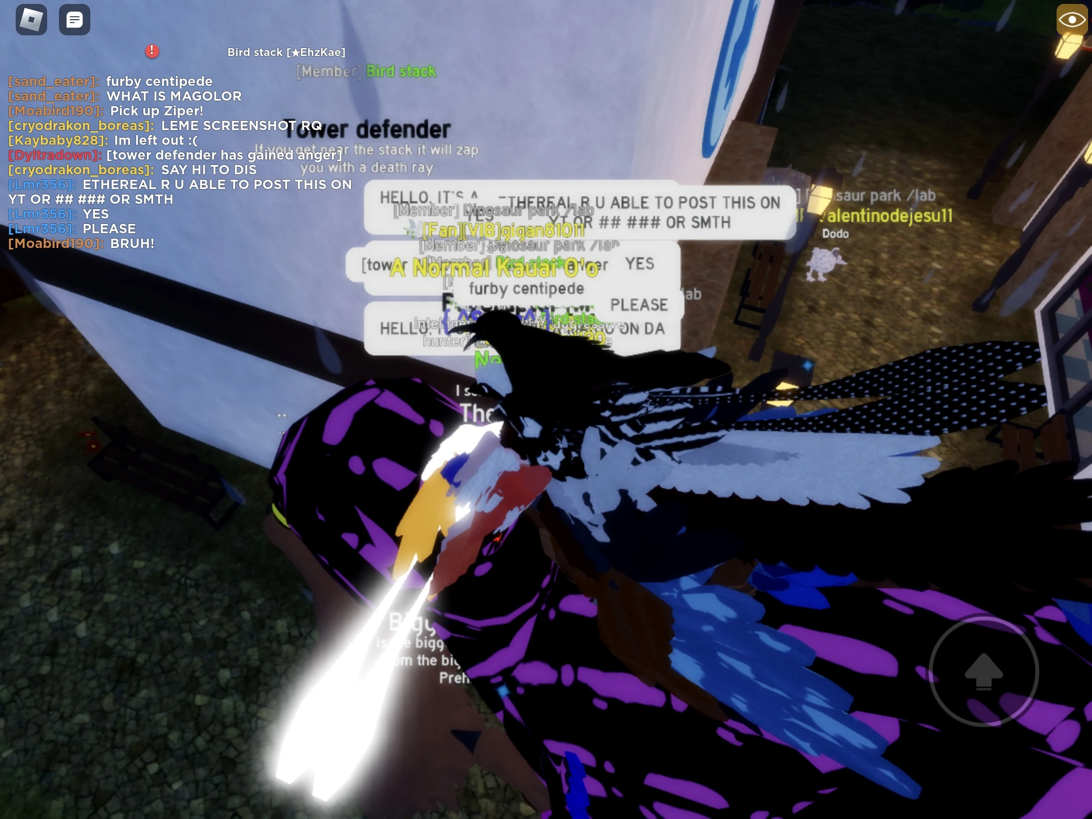 The Stack Of uh, BIRDS. | Fandom