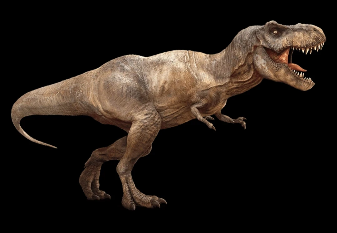 Shocking Discovery!!!!!! | Fandom