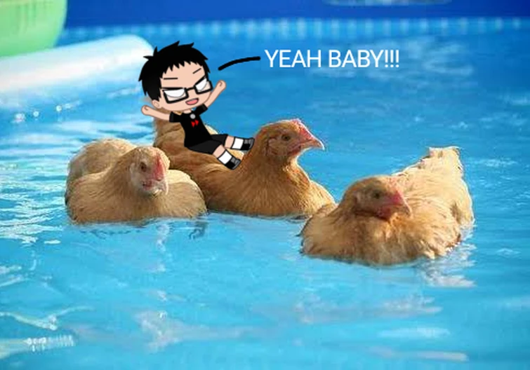 Me and the Chickens. | Fandom