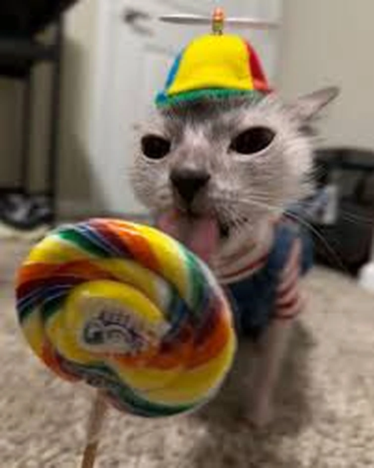 Should i make a DW OC? (It would be my first one tho-) | Fandom