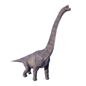 Hey vihann mendiratta | Fandom