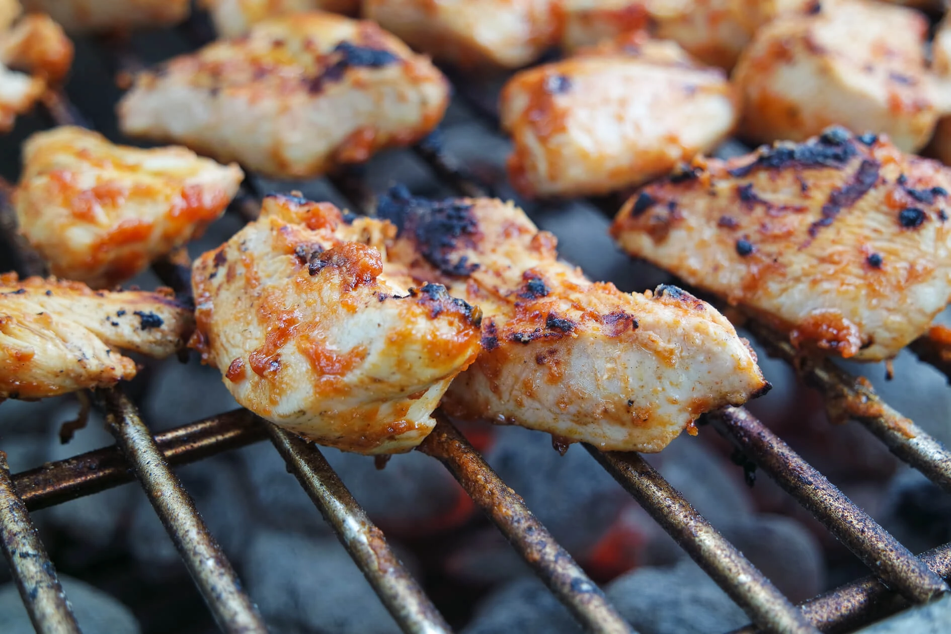 MONDO CHICK, THIS IS YOUR FATE PT2 | Fandom