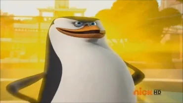 Quantum Hypercute Private vs Perfect Day Skipper vs Psychotic Energy ...