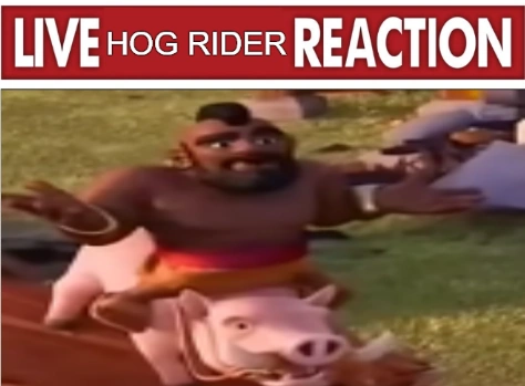 my hog rider meme (use it if you want) | Fandom