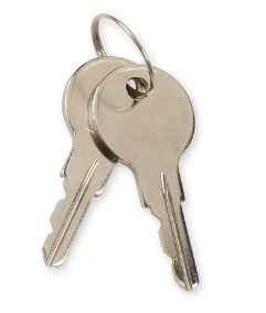 jingles keys in front of you | Fandom