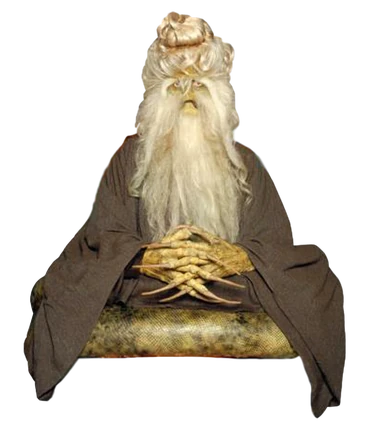 Discuss Everything About Wookieepedia | Fandom