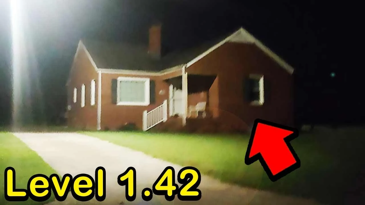 Broogli certified a second time! | Fandom